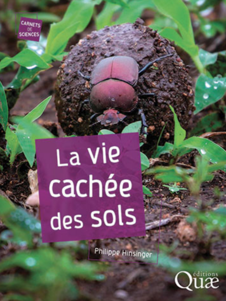 L'intimité des Sols avec Philippe Hinsinger ! - FairCarboN